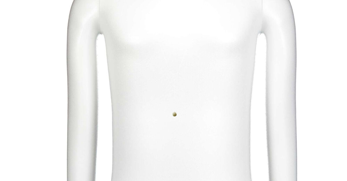 Profoto Magic Mannequin II - Torso Male - Specular